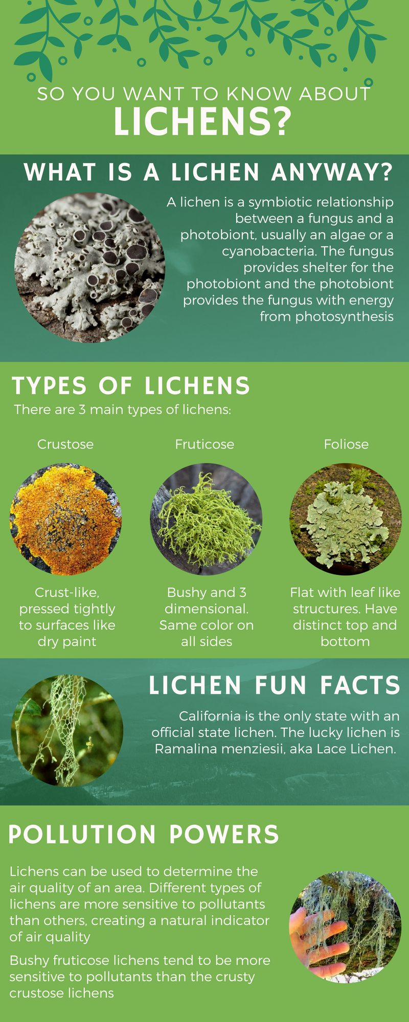 Lichen outreach – Jesse E. D. Miller